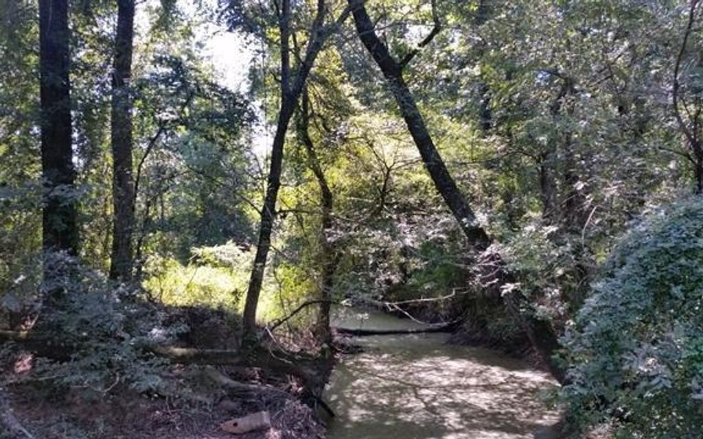121.37 acres, Wilmot, AR, Property ID: 7493789 | Land and Farm