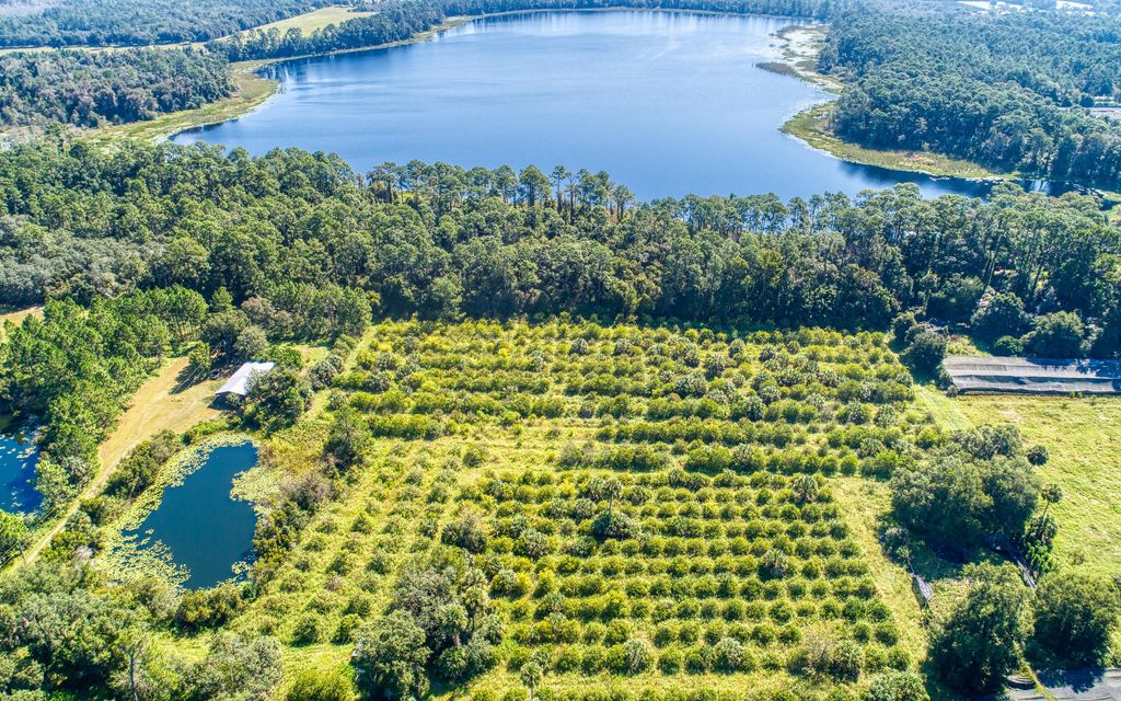 16 acres, Pierson, FL, Property ID: 9989646 | Land and Farm