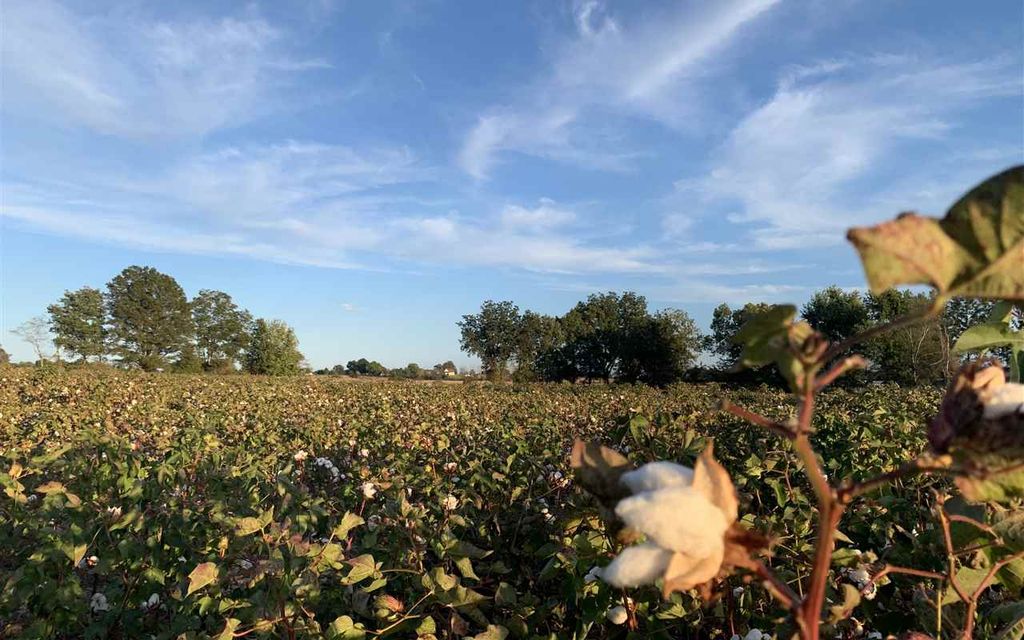 5.73 acres, Alamo, TN, Property ID: 10011058 | Land and Farm