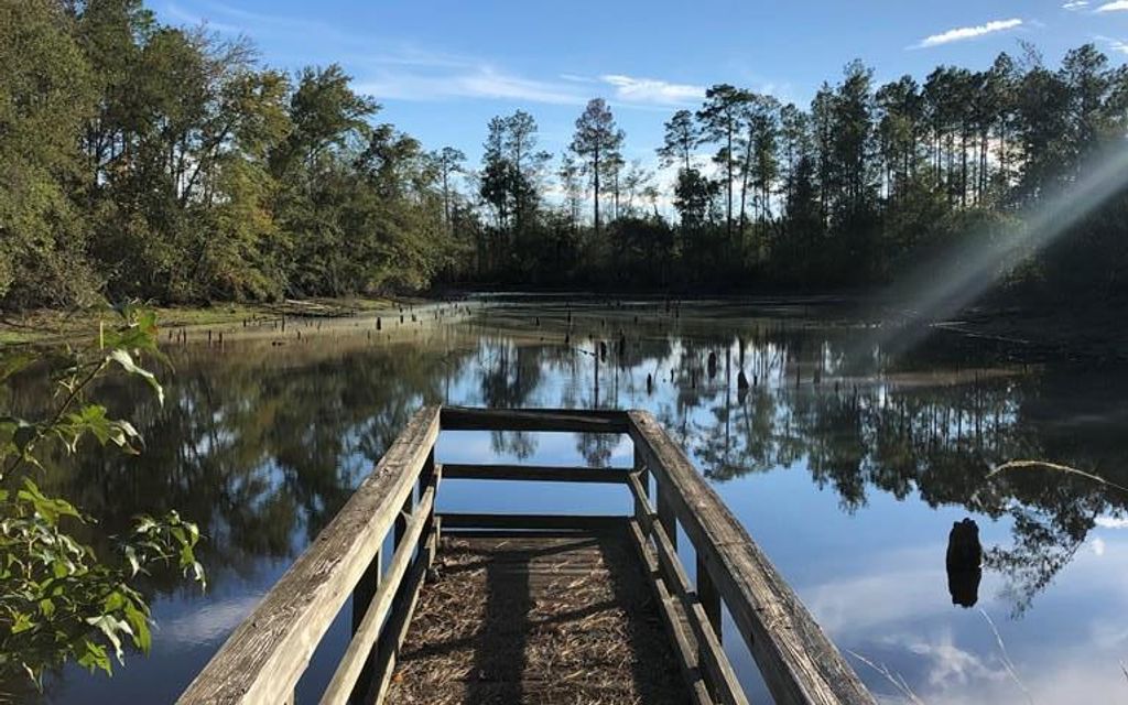 101.98 acres, Wray, GA, Property ID: 10083852 | Land and Farm