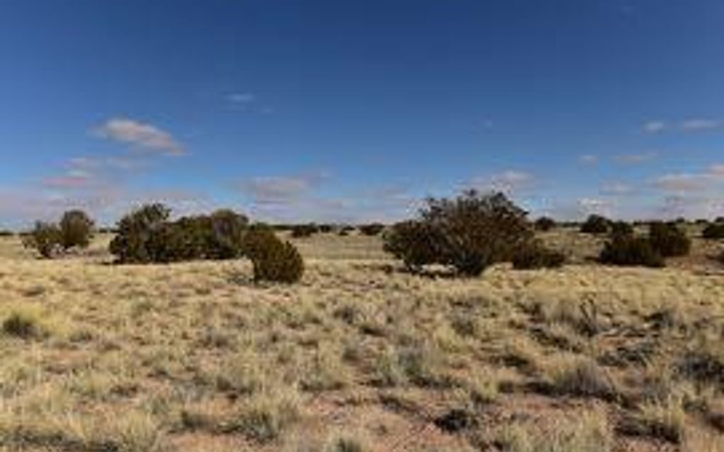 40 acres, Chambers, AZ, Property ID: 10337426 | Land and Farm